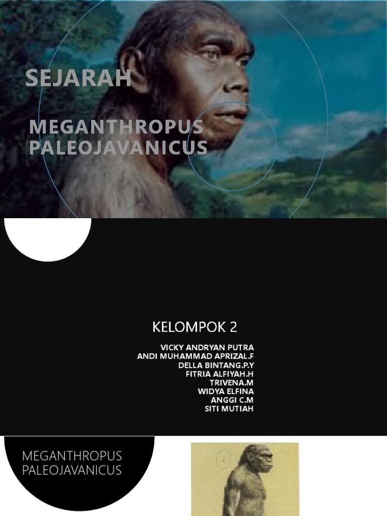 Sejarah Meganthropus Paleojavanicus | PDF