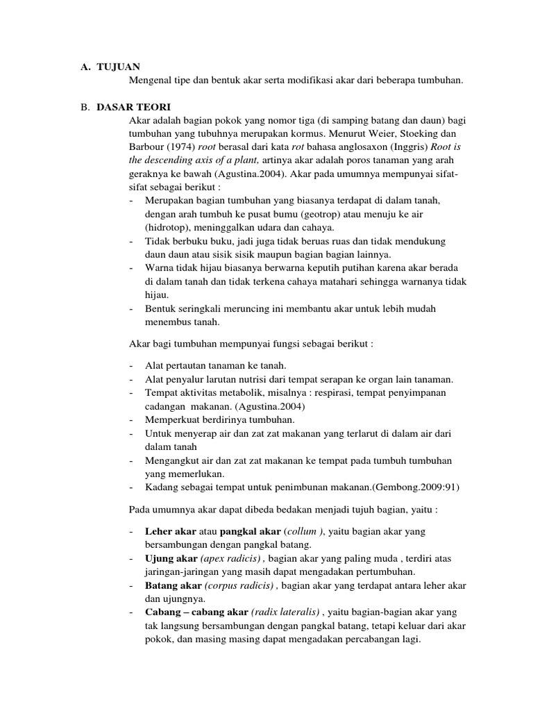 LAPORAN RESMI MORFOLOGI: Tipe, Bentuk Dan Modifikasi Akar Pada Beberapa ...