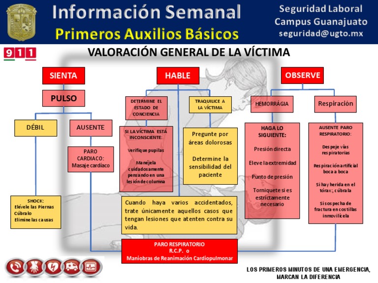 Protocolo ABC en Primeros Auxilios | PDF | Reanimación cardiopulmonar ...