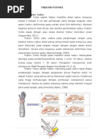 LP Fraktur Digiti Manus | PDF