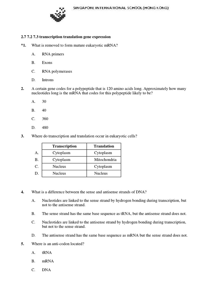 IB Biology HL 2.7 Worksheet | PDF | Translation (Biology) | Sense ...