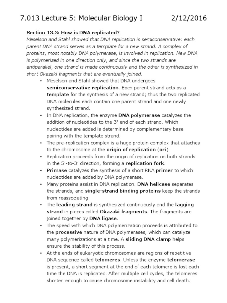 DNA Replication Mechanisms Explained | PDF | Dna Replication | Dna