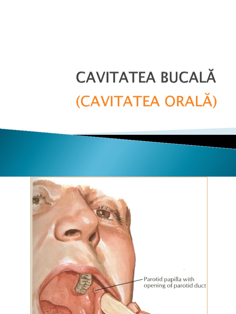 Cavitatea Bucala Lupu Cristina