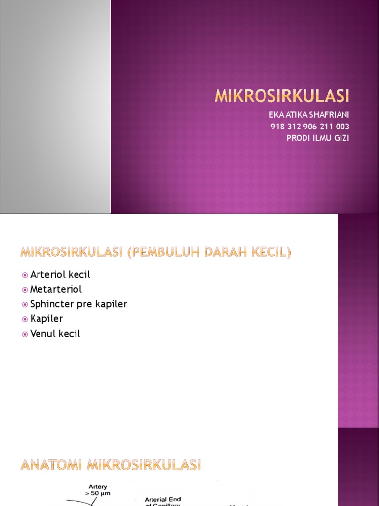 PPT Mikrosirkulasi | PDF | Sains & Matematika | Kesehatan Holistik