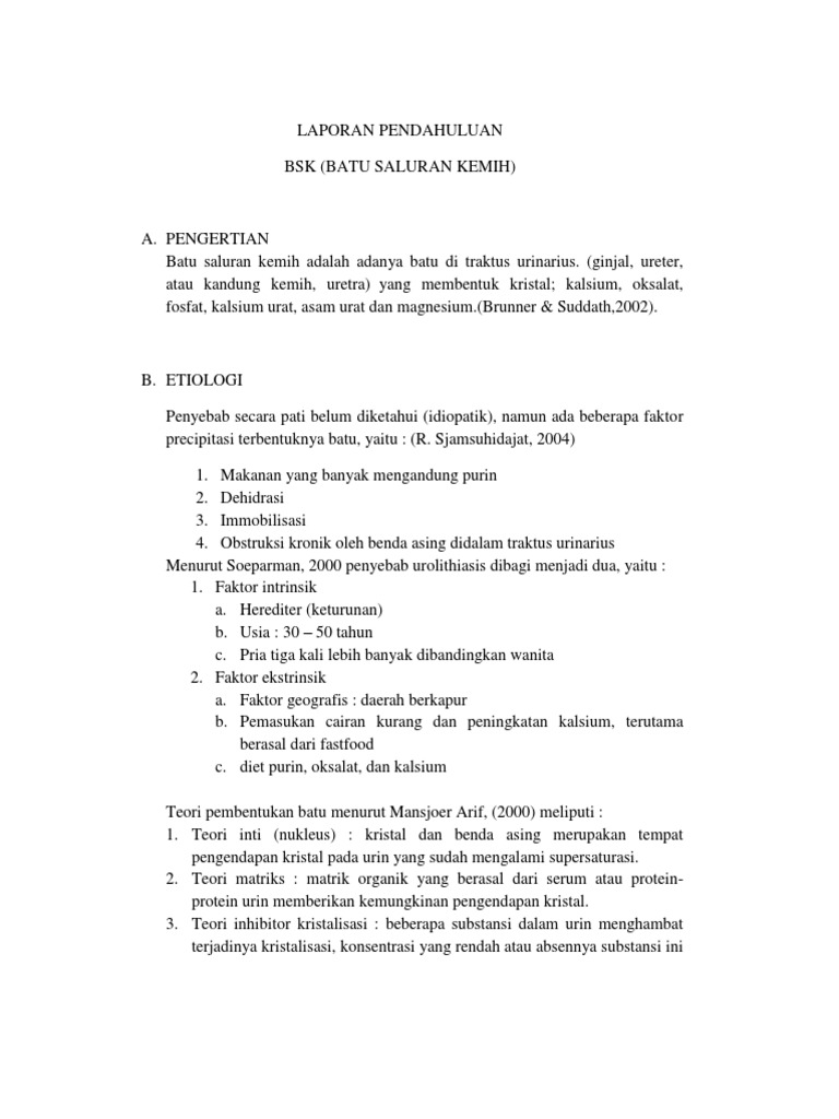 Laporan Pendahuluan BSK | PDF