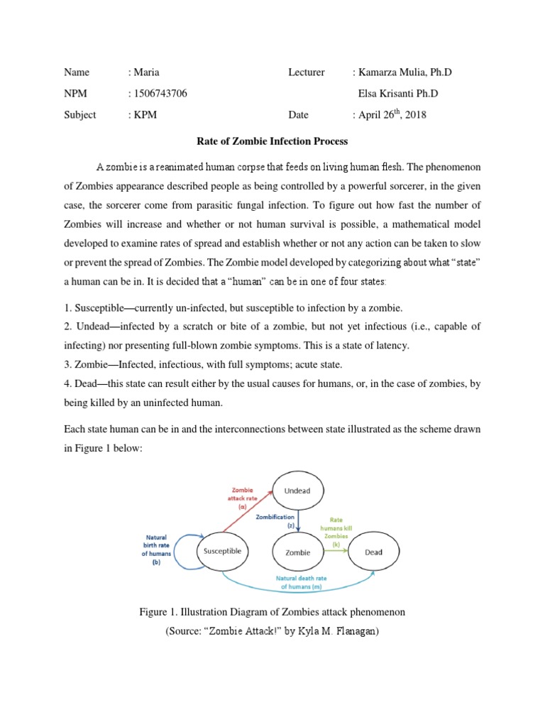 Rate of Zombie Infection Process: Lecturer | PDF | Zombies | Diffusion