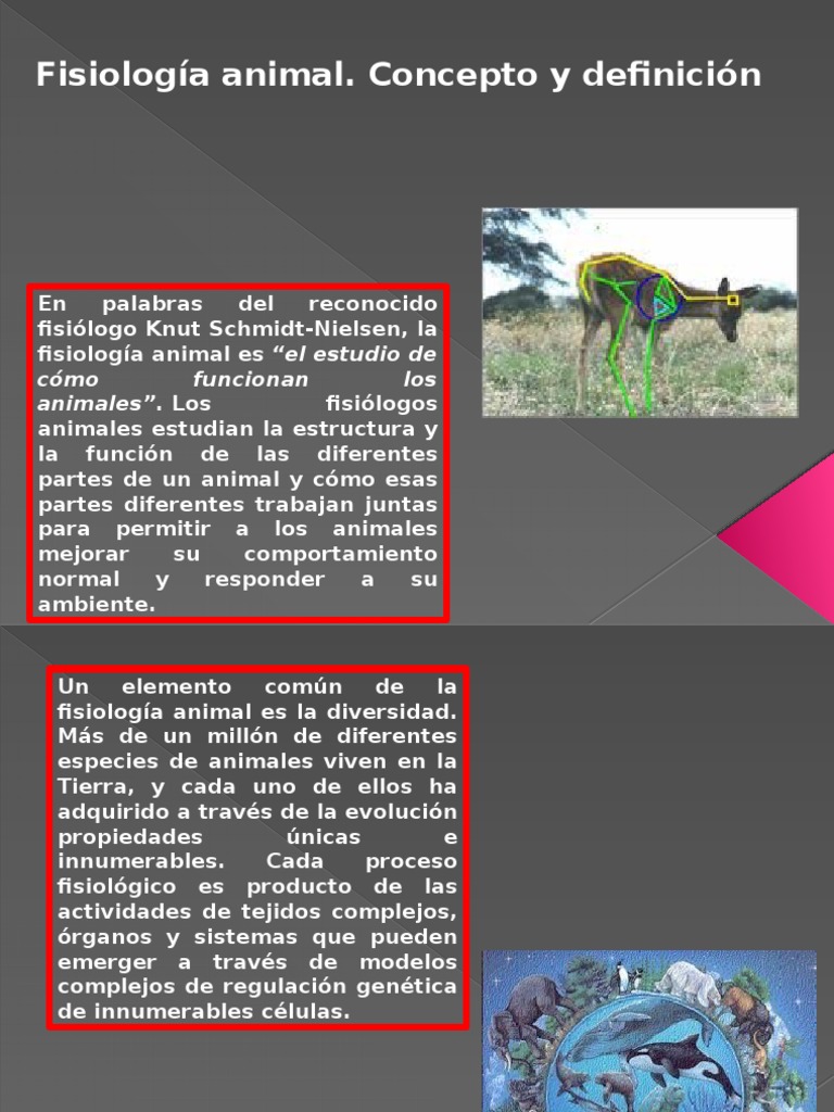 Fisiologia Animal