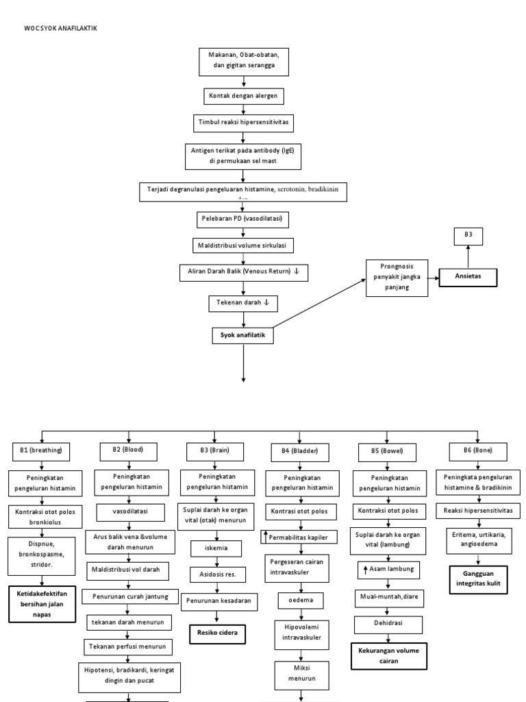 Woc Syok Anafilaktik | PDF