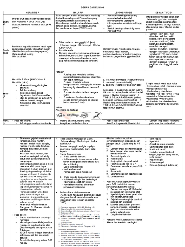 DEMAM DAN KUNING by PD PDF | PDF