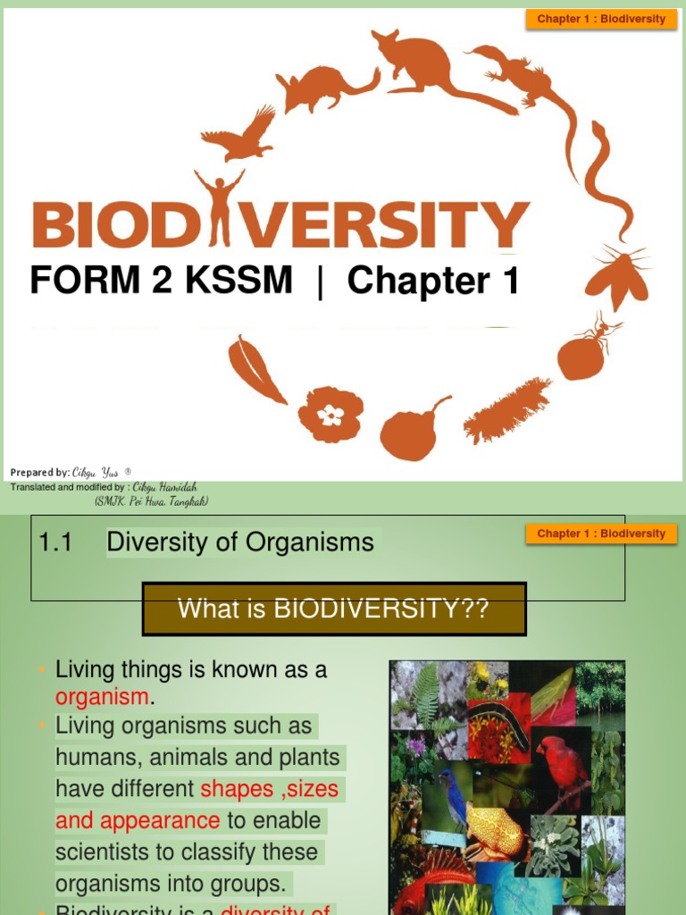 Biodiversity Form 2 KSSM DLP | PDF | Amphibian | Invertebrate