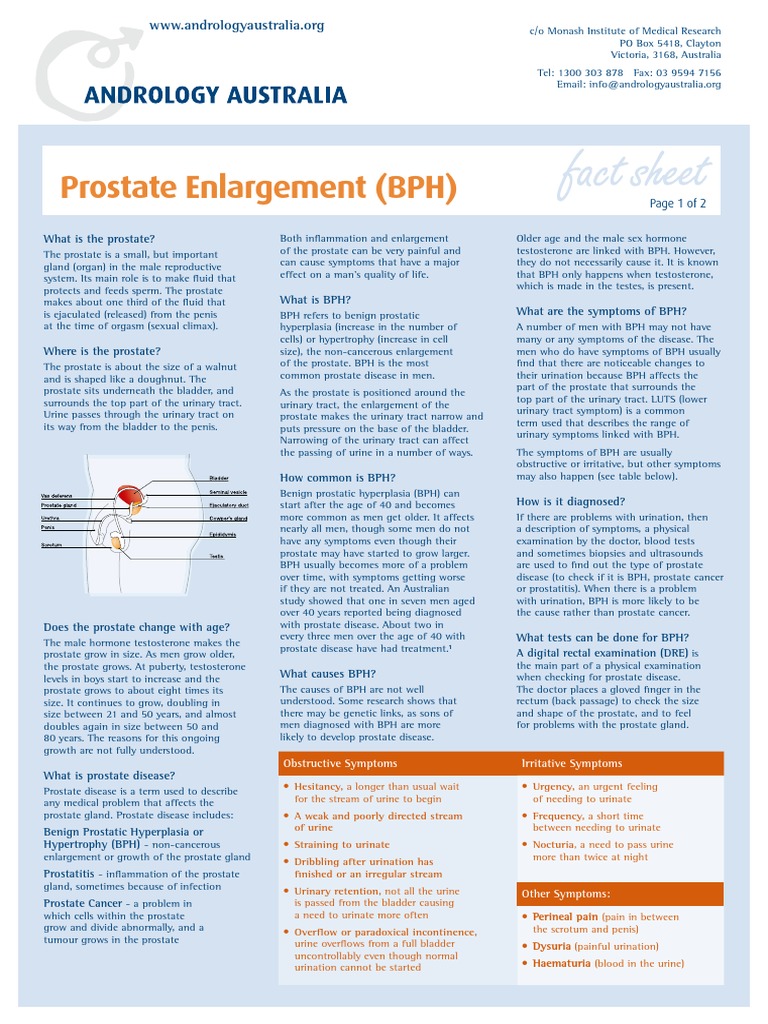 Prostate Enlargement (BPH) : What Is The Prostate? | PDF | Prostate | Urinary Incontinence
