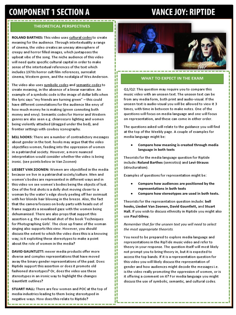 "Riptide Music Video: Codes & Gender" | PDF | Philosophy