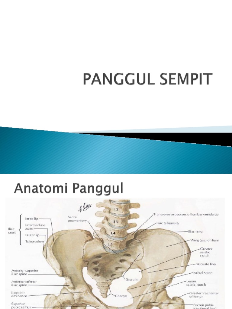 Panggul Sempit | PDF