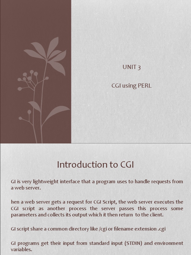 Unit 3 CGI Using PERL | PDF | Hypertext Transfer Protocol | Web Server