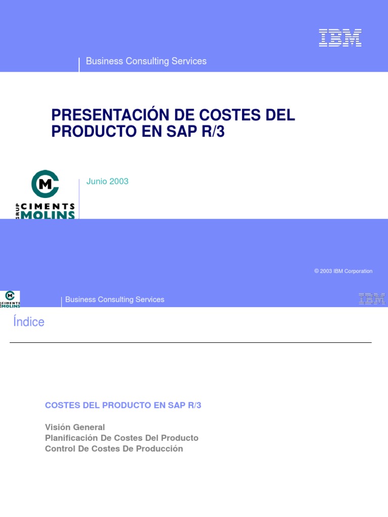 Curs PC PP V1 | PDF | Sap Se | Planificación