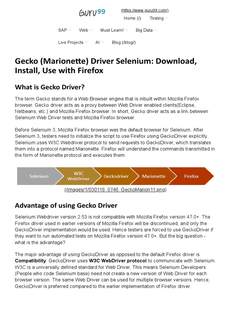 Gecko (Marionette) Driver Selenium - Download, Install, Use With ...