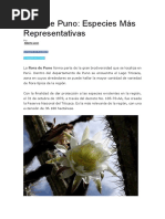 La Flora de La Puna Del Perú | PDF | Plantas | Organismos