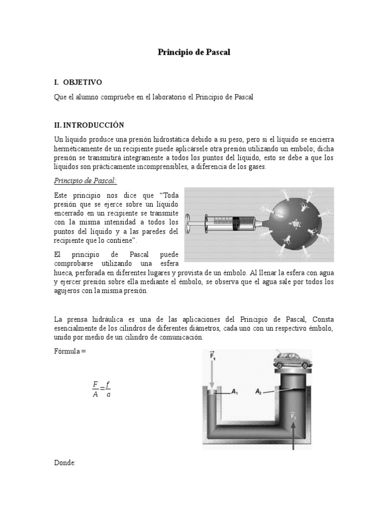 Principio de Pascal | PDF | Líquidos | Fases de la materia