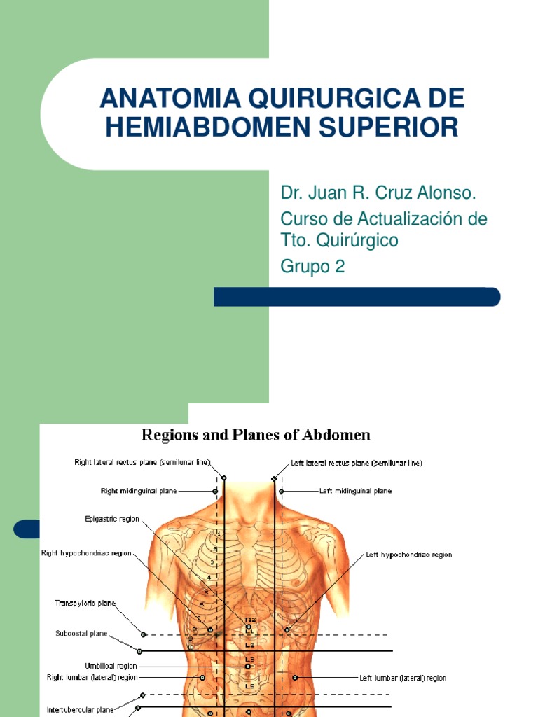 Anatomia Quirurgica de Hemiabdomen Superior | PDF
