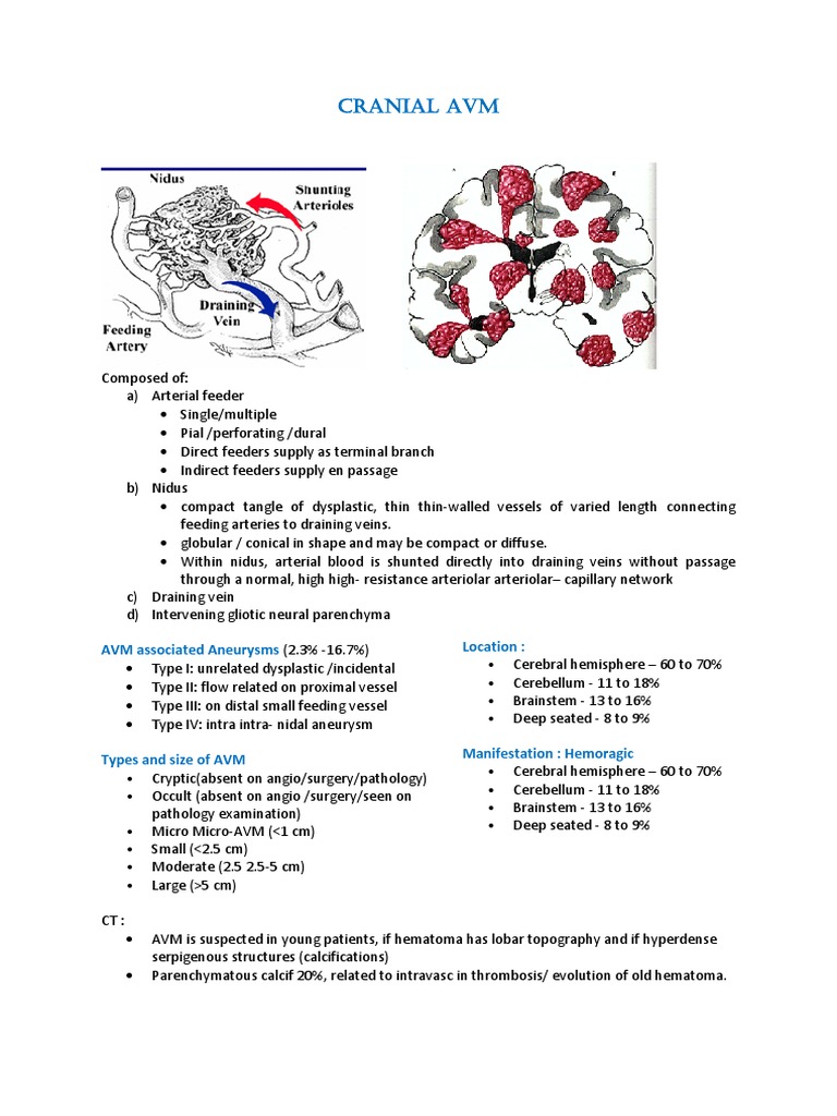 Cranial Avm: AVM Associated Aneurysms Location | PDF | Vein | Angiology