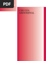 Clasificación de Grannum | PDF | Placenta | El embarazo