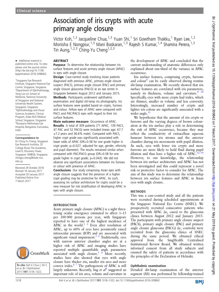 Association of Iris Crypts With Acute Primary Angle Closure | PDF ...