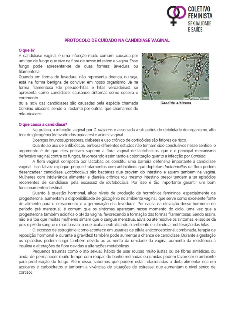 Protocolo de Cuidado Da Candidíase Vaginal | PDF | Candidíase | Vagina