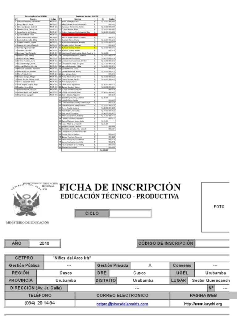 Formatos de Matriculas | PDF | Access Control | Authentication
