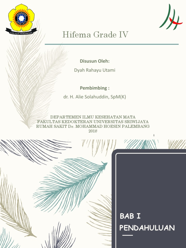 Hifema Grade IV | PDF