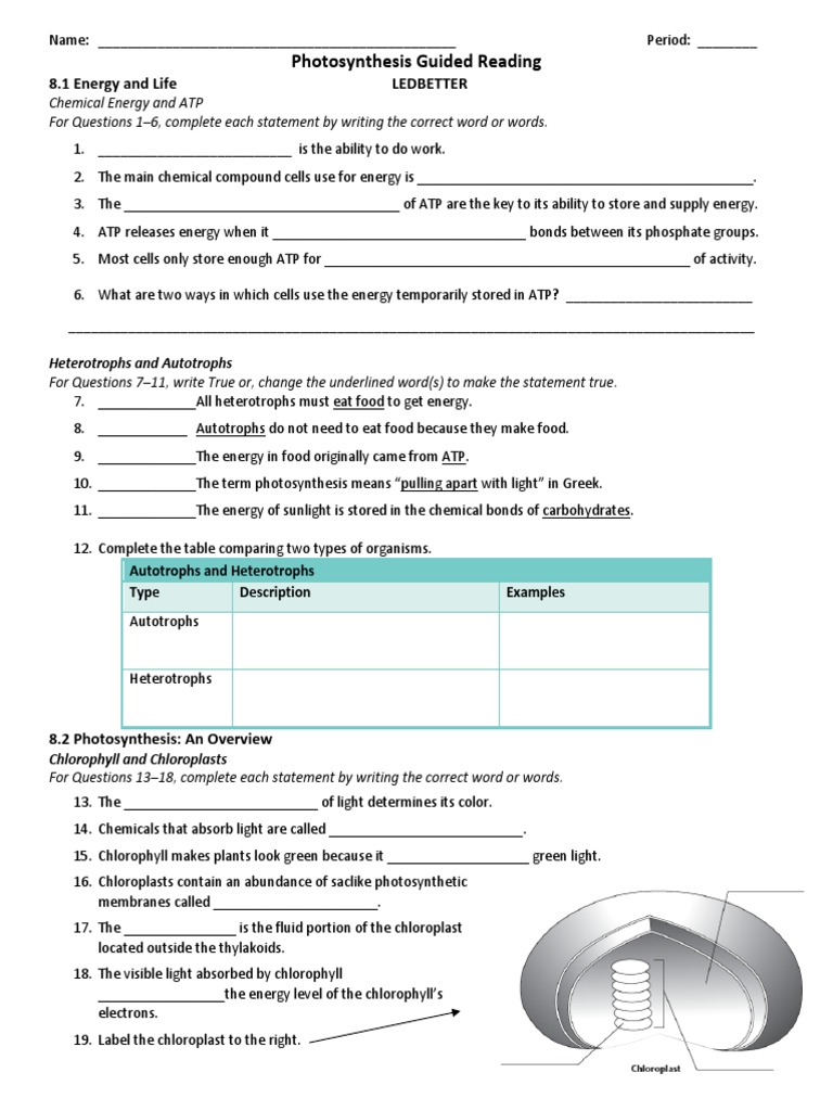 Photosynthesis GR 2017 | PDF | Photosynthesis | Chloroplast