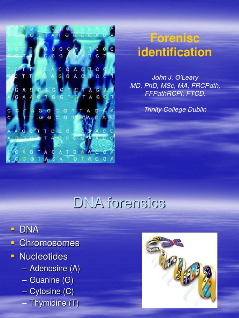 Forenisc Identification: John J. O'Leary MD, PHD, MSC, Ma, Frcpath ...