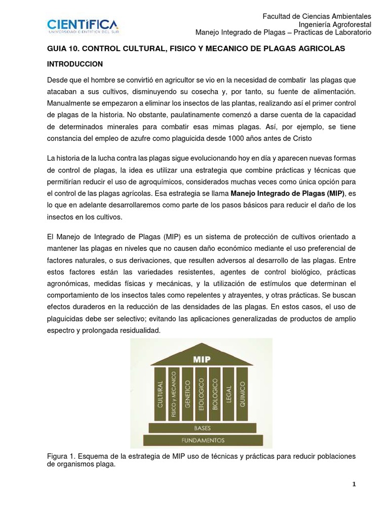 Control Cultural de Plagas Agricolas | Descargar gratis PDF | Plaga ...