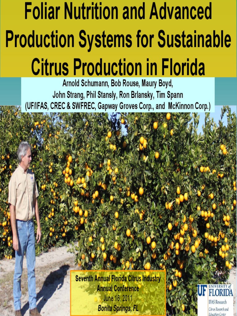 Sustainable Citrus Production Strategies | PDF | Citrus | Fertilizer