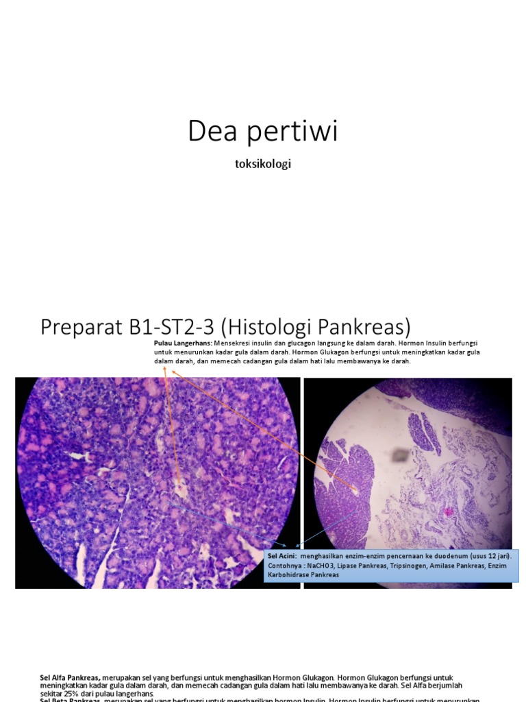 Pankreas: Fungsi dan Enzim | PDF | Sains & Matematika
