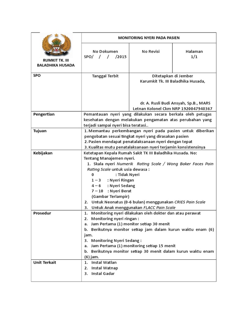 Spo Monitoring Nyeri Pada Pasien | PDF