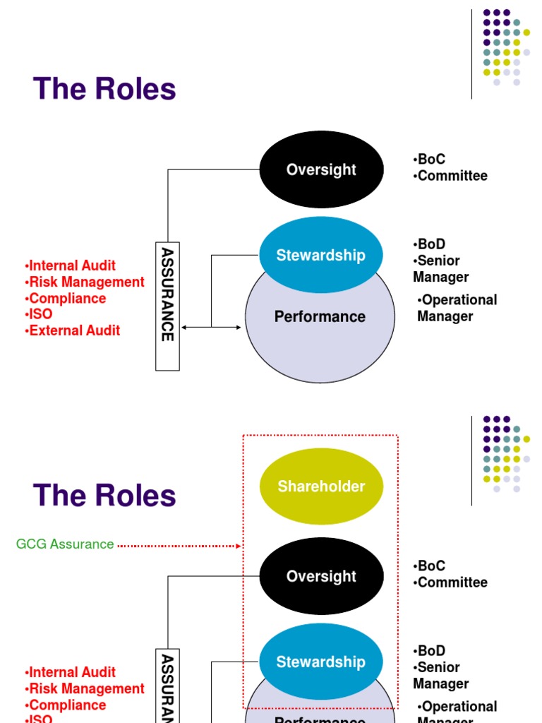Good Auditor | PDF | Internal Control | Regulatory Compliance