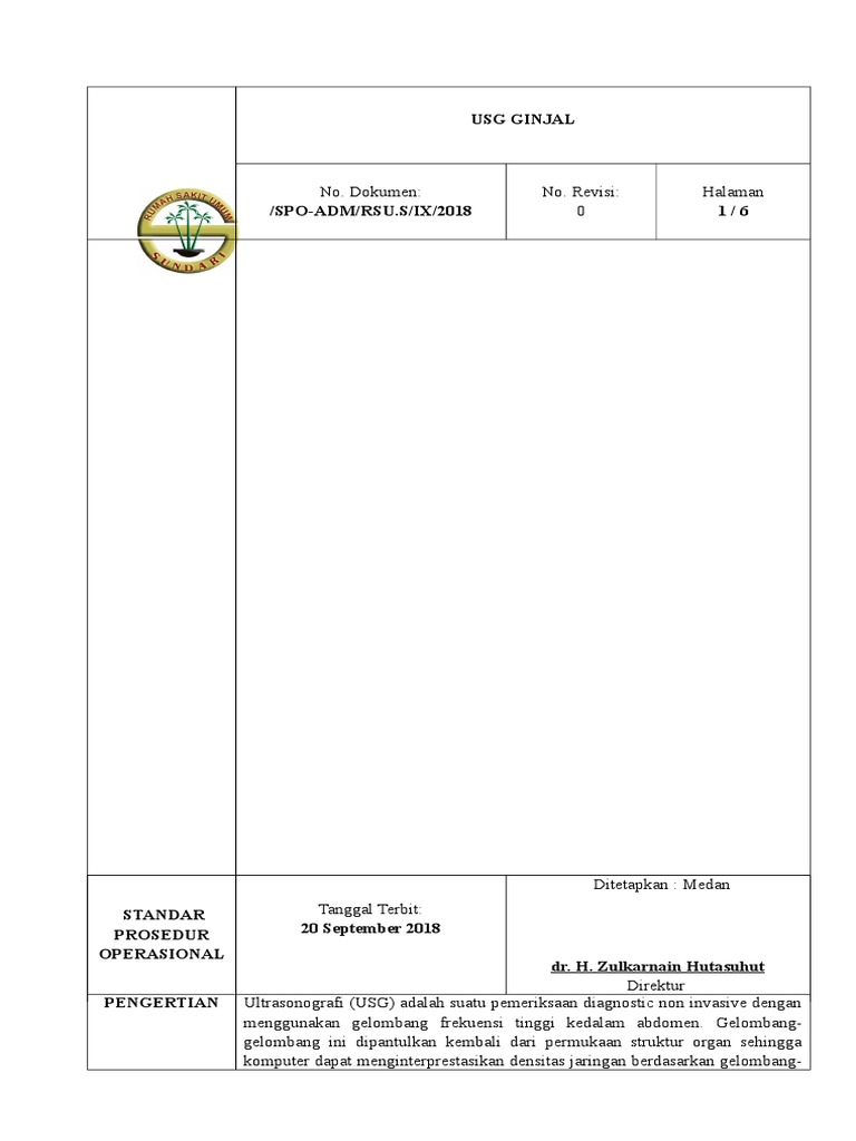 Spo Usg Ginjal | PDF