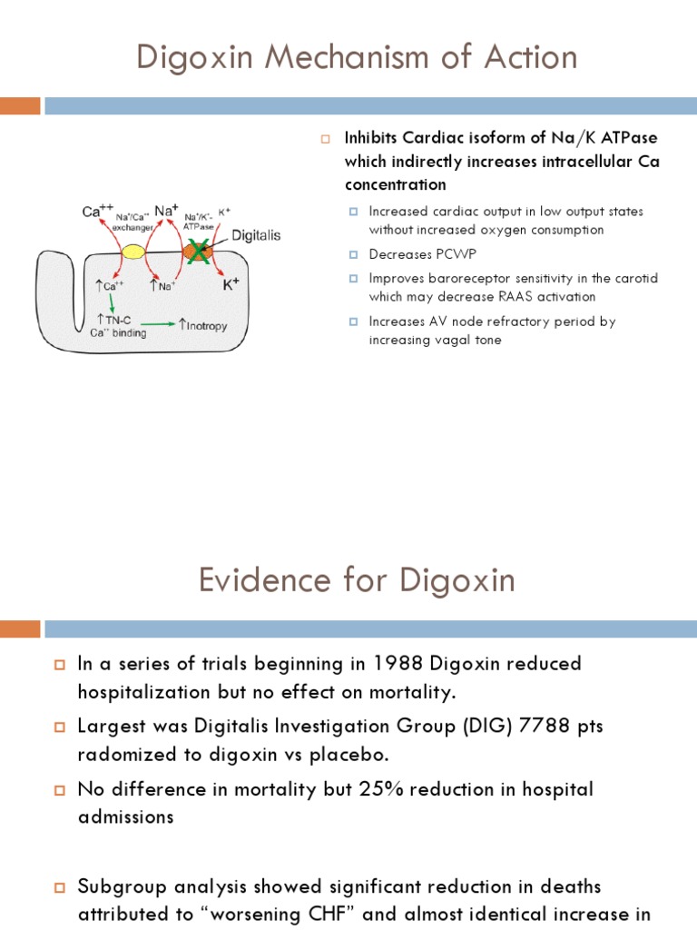 2.5 Digoxin Toxicity | Download Free PDF | Rtt | Medical Treatments
