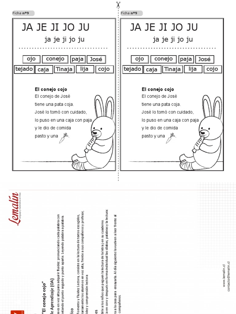 Lectura El Conejo PDF | PDF