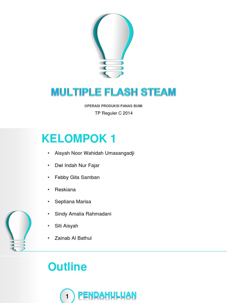 Multiple Flash Steam | PDF