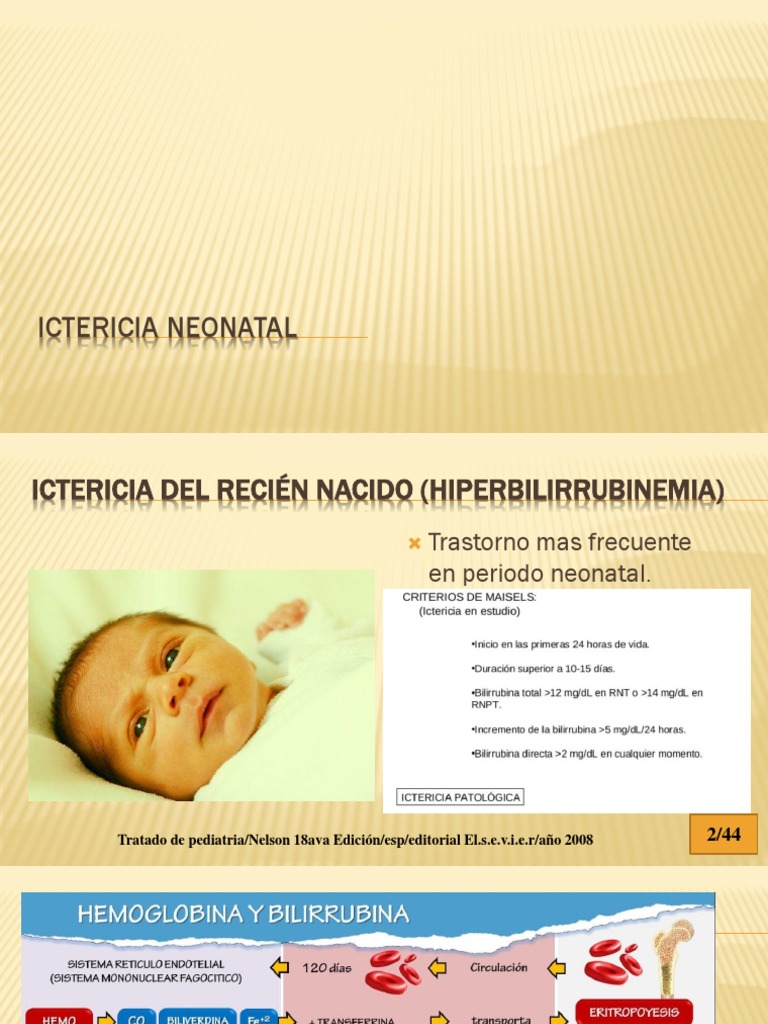 10 Ictericia Neonatal | PDF | Especialidades Medicas | Medicina CLINICA