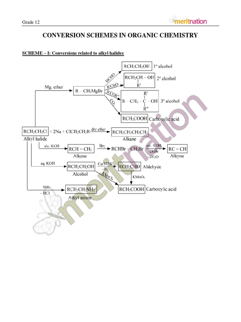 Conversion Schemes in Organic Chemistry by Meritnation | PDF | Amine ...