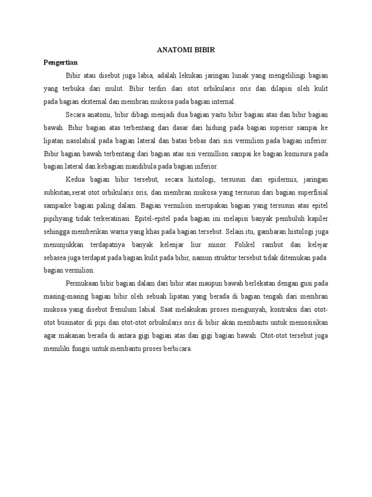 Anatomi Bibir | PDF