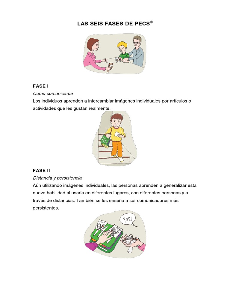 Las Seis Fases de Pecs