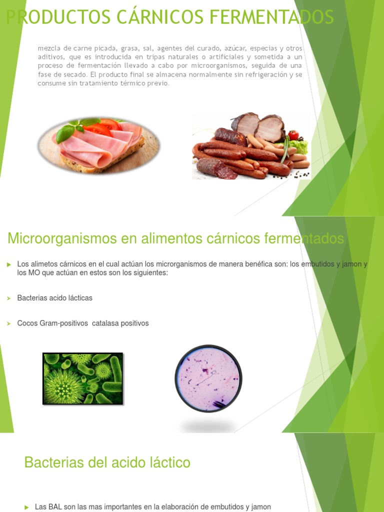 Microorganismos en Carnes Fermentadas | PDF | Carne | Sustancias químicas