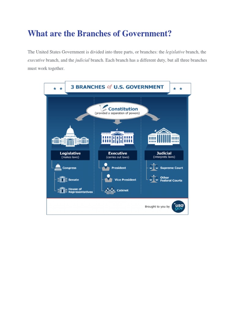 Overview of U.S. Government Branches | PDF | Federal Government Of The ...