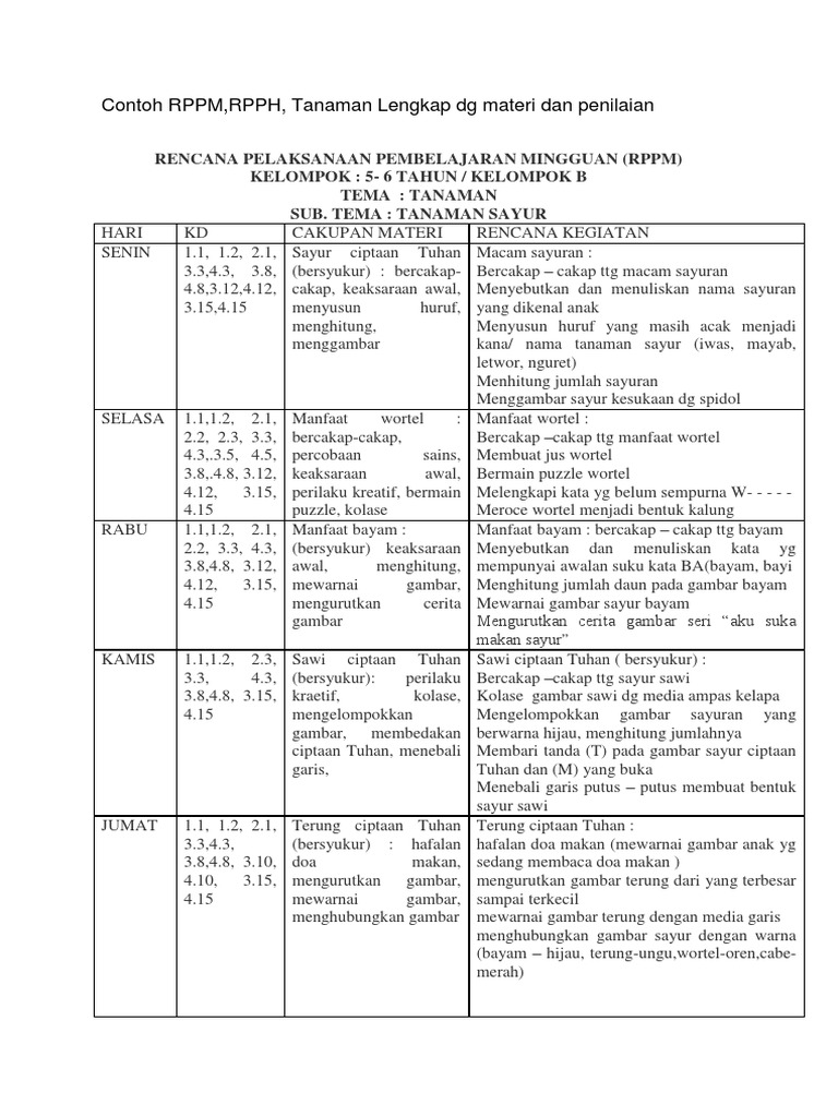 Contoh RPPM | PDF