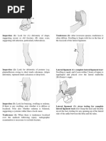 Glossary of Podiatry Terms | PDF | Toe | Foot