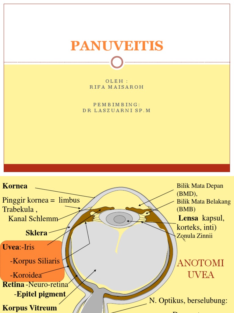 Panuveitis | PDF