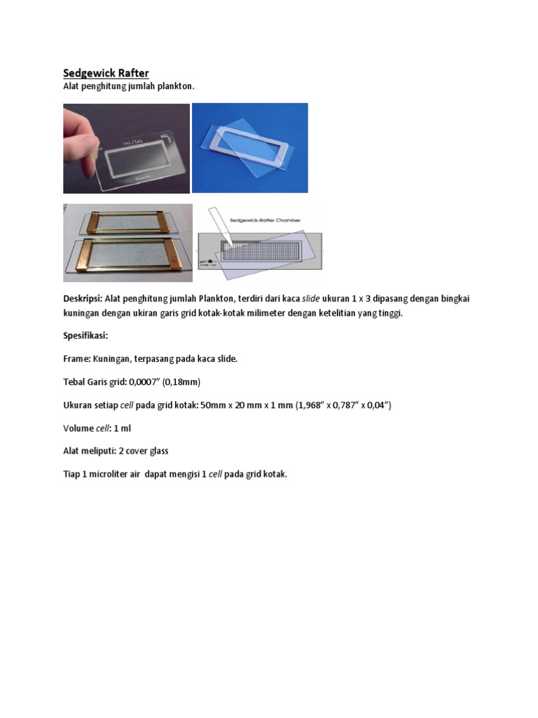 Sedgewick Rafter | PDF